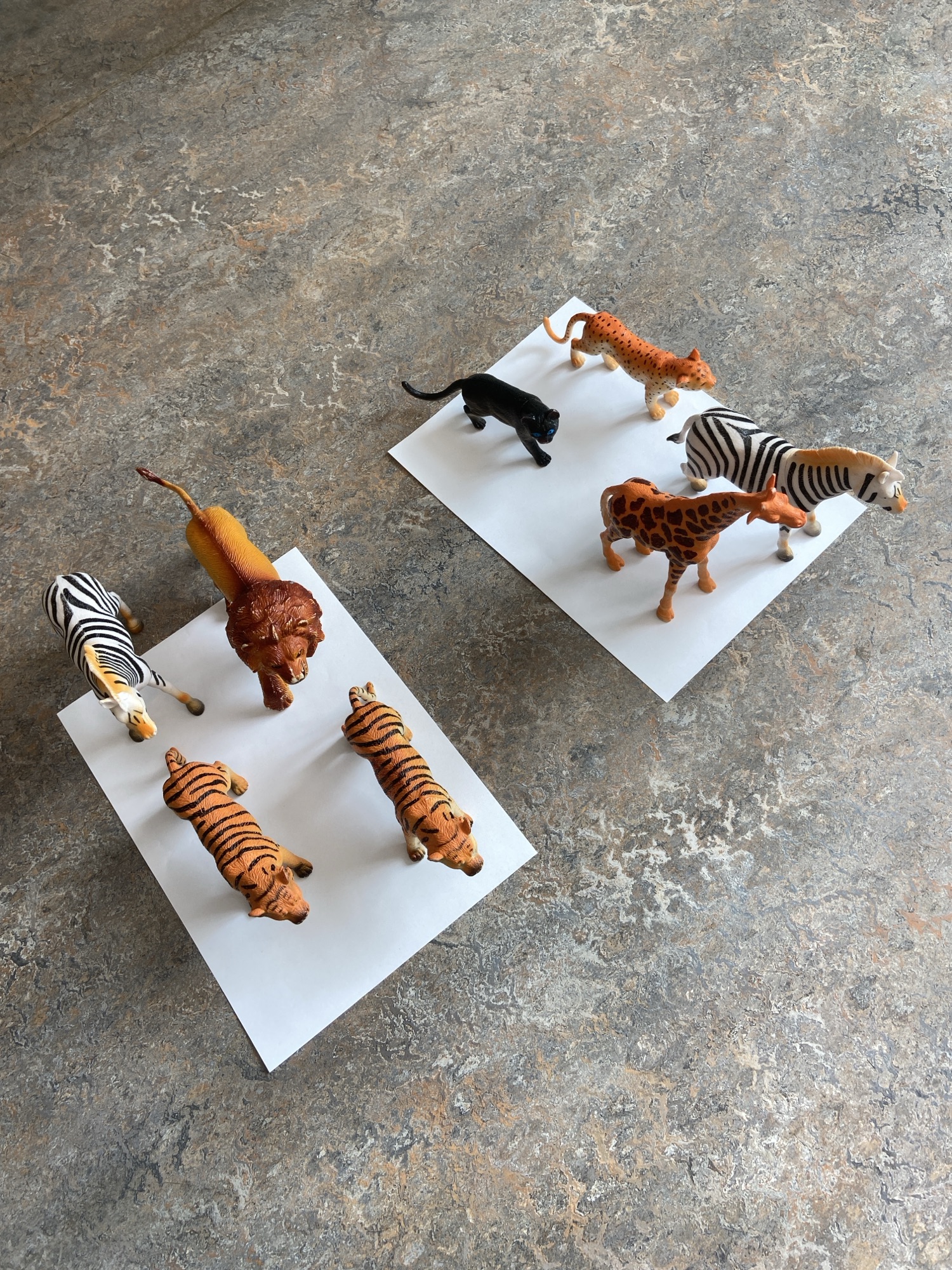 Partall og oddetall | undervisningstips